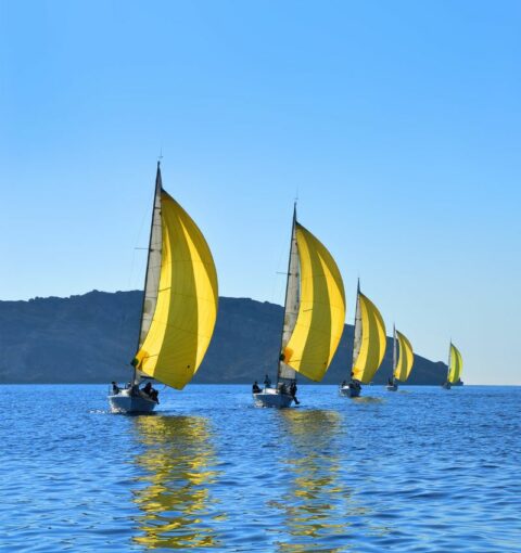 Team Winds - Team Winds